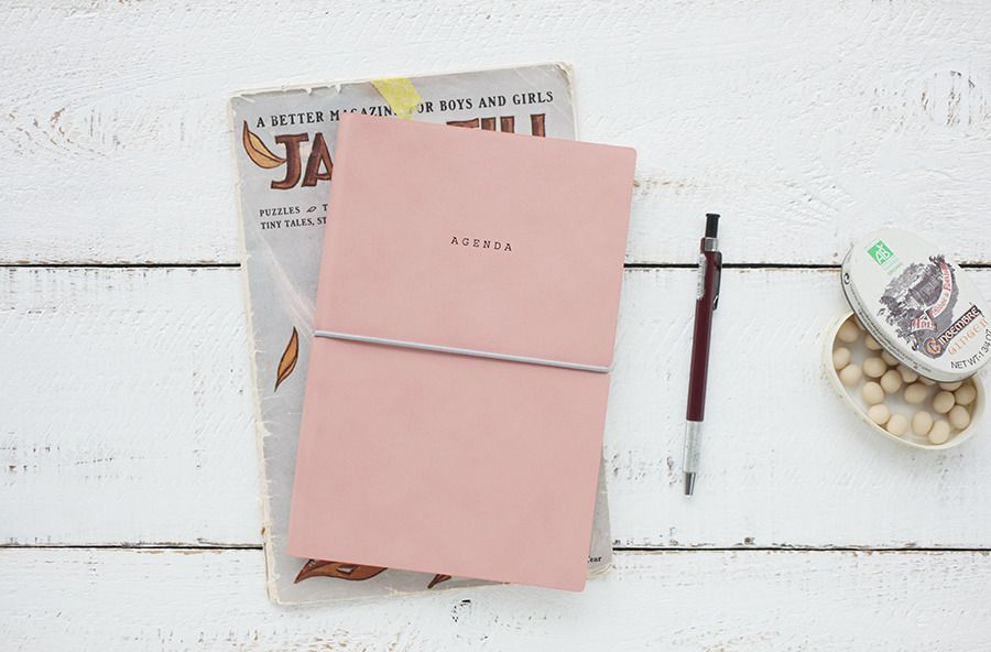 MochiThings: Large Agenda Notebook
