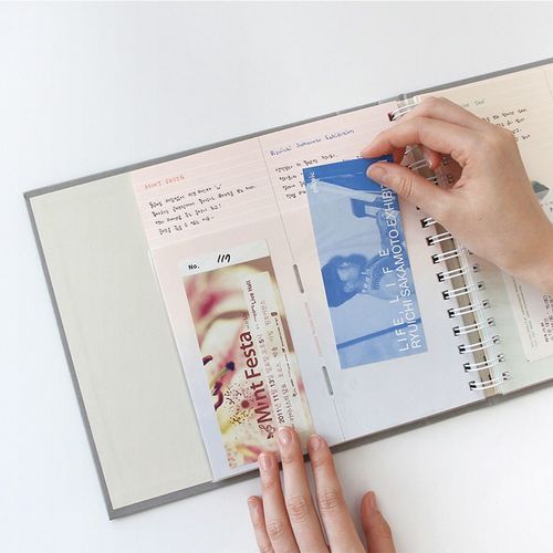 MochiThings: My Record Ticket Book