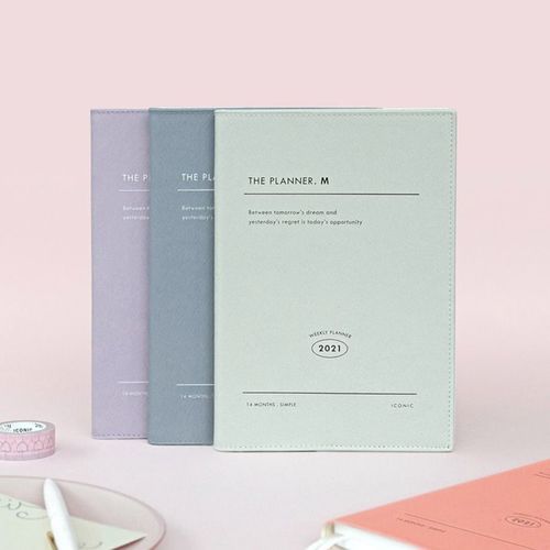 MochiThings: 2021 The Planner M
