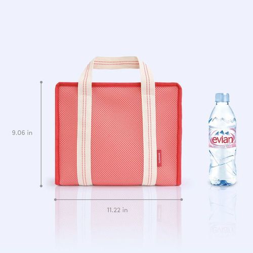 Mesh Lunch Cooler Tote | mochithings