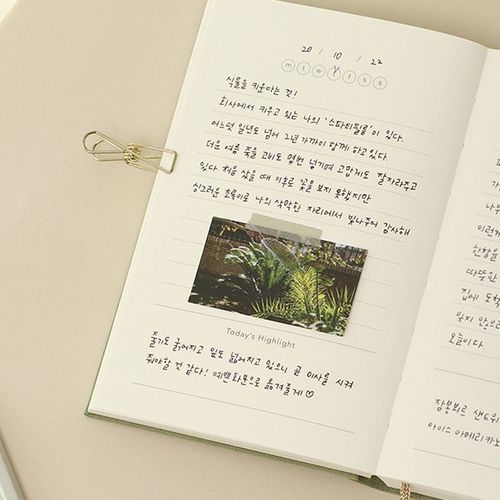 MochiThings: Today's Highlight 365 Day Journal S