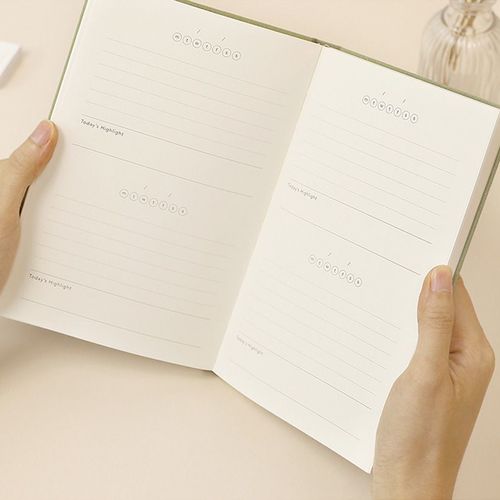 MochiThings: Today's Highlight 365 Day Journal L