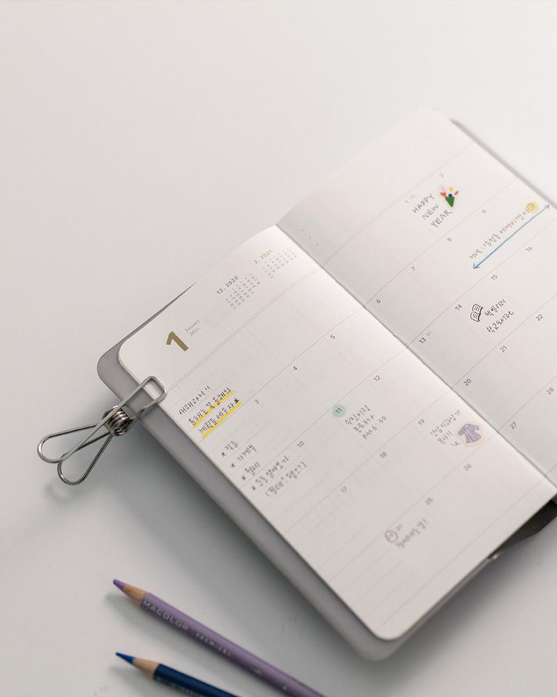 MochiThings: 2021 Comfy & Roomy Daily Planner