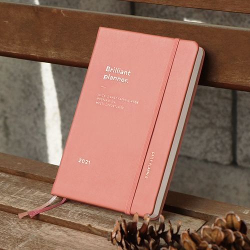 MochiThings: 2021 Brilliant Daily Planner
