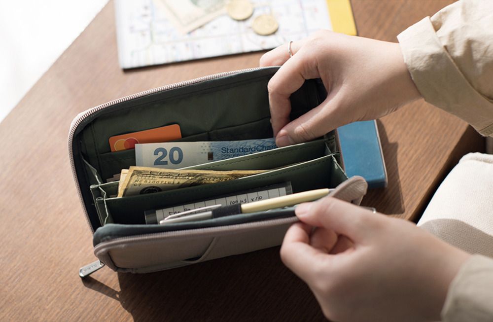 MochiThings: Travelus Pocket Pouch Organizer