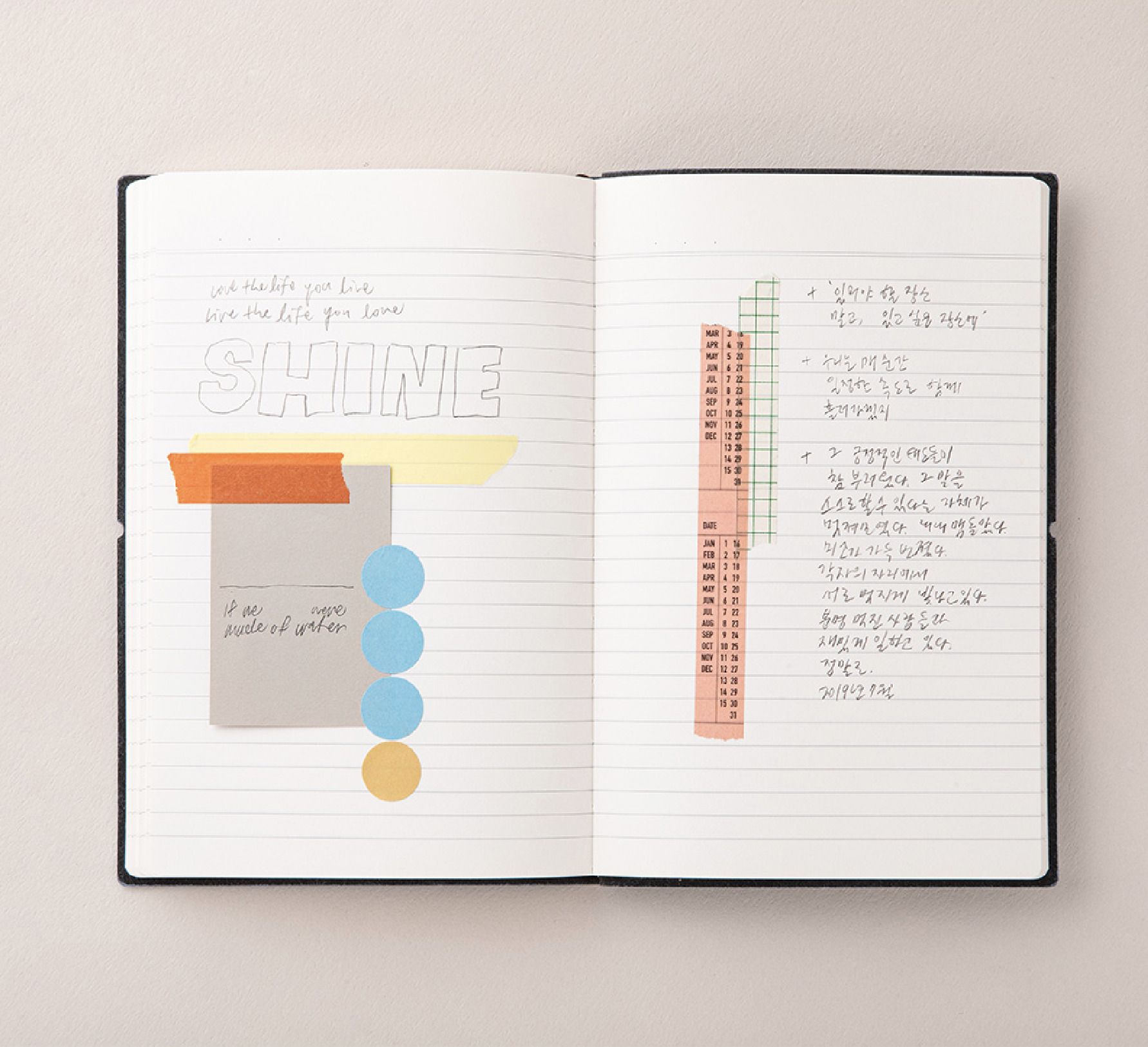 MochiThings: Large Agenda Lined Notebook