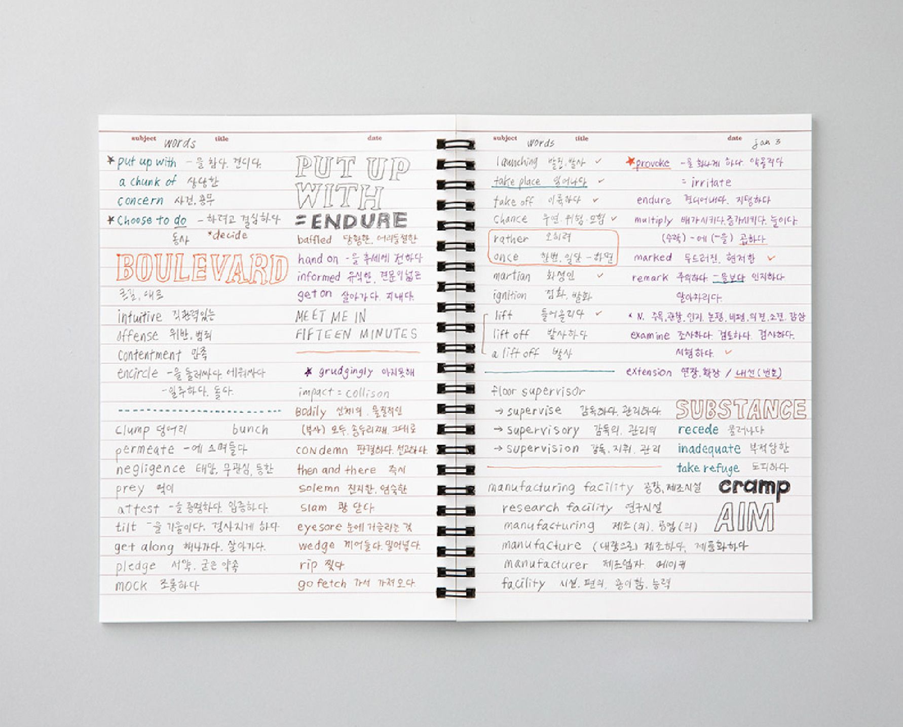 MochiThings: Small Life & Pieces Spiral Notebook