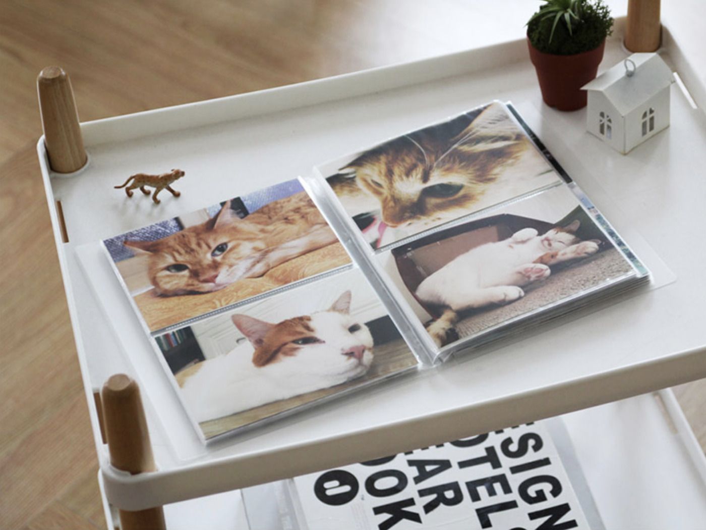 MochiThings: 4x6 Mono Clear Photo Album Set