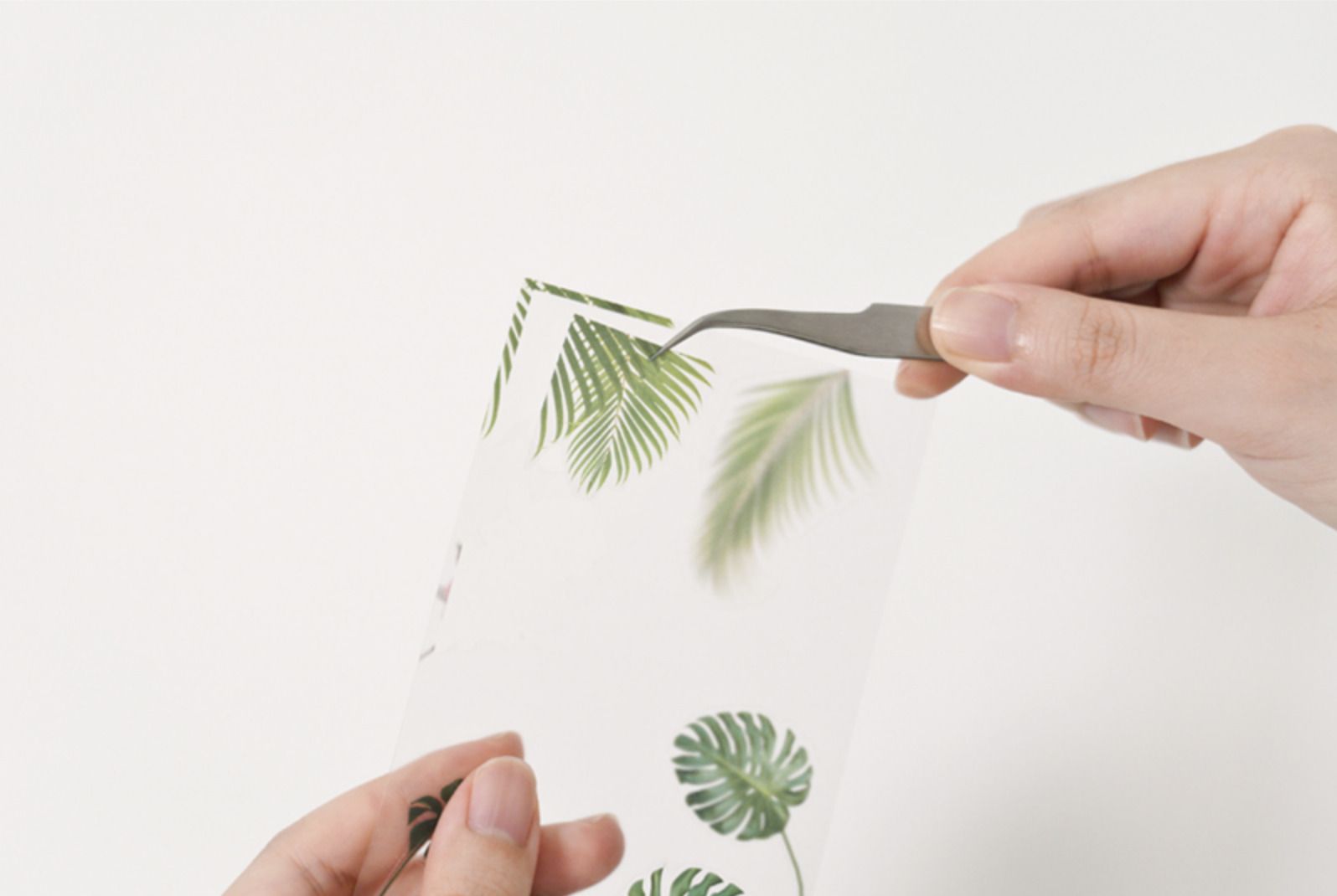 MochiThings: Tropical Day Layered Sticker Set