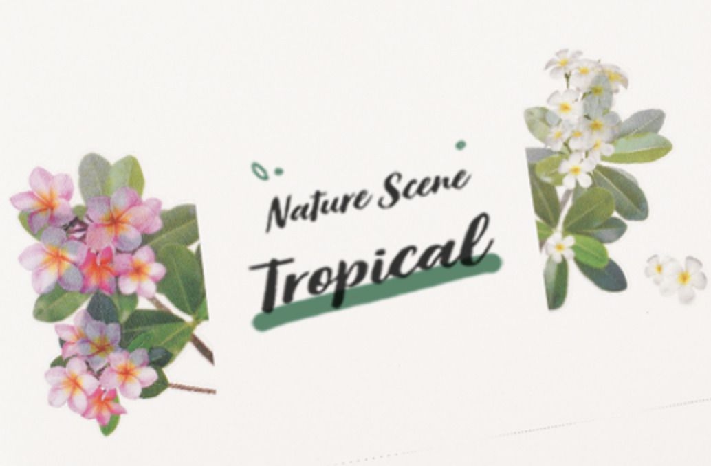MochiThings: Tropical Day Layered Sticker Set