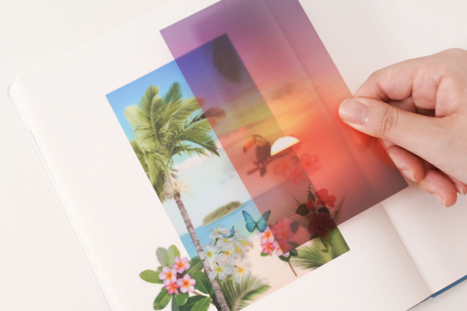 MochiThings: Tropical Day Layered Sticker Set