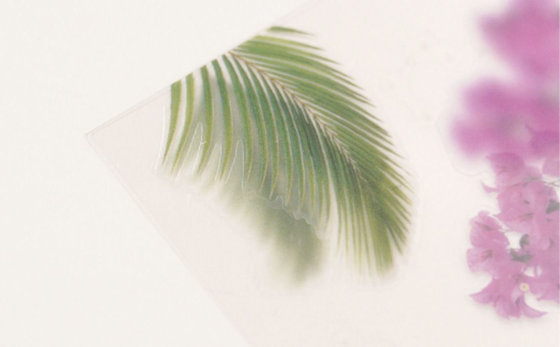 MochiThings: Tropical Night Layered Sticker Set