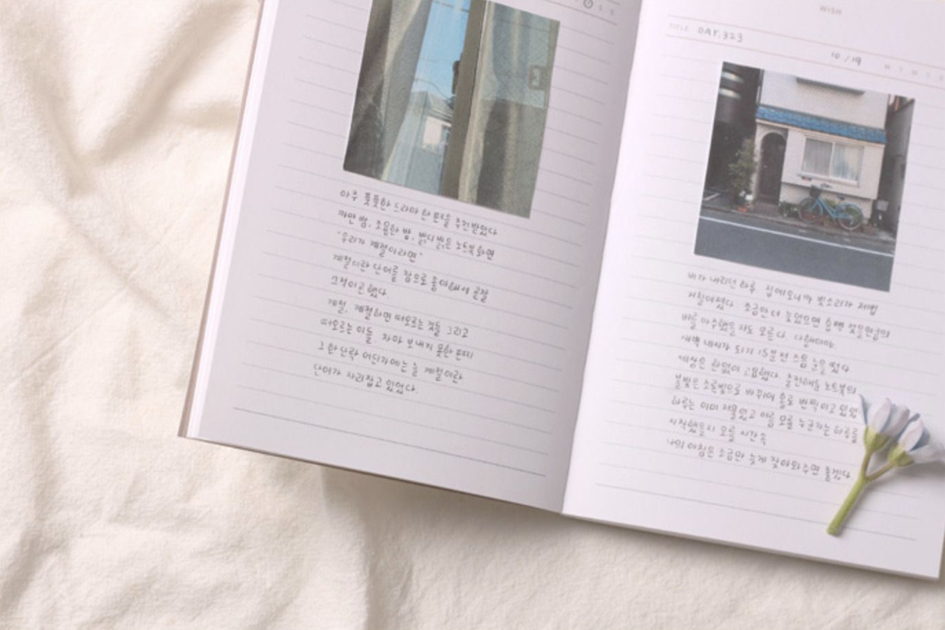 MochiThings: Wish Daily Notebook