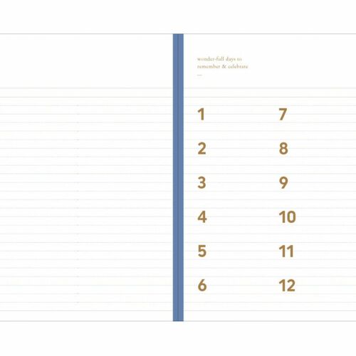 MochiThings: 2022 Medium Spiral Basic Weekly Planner