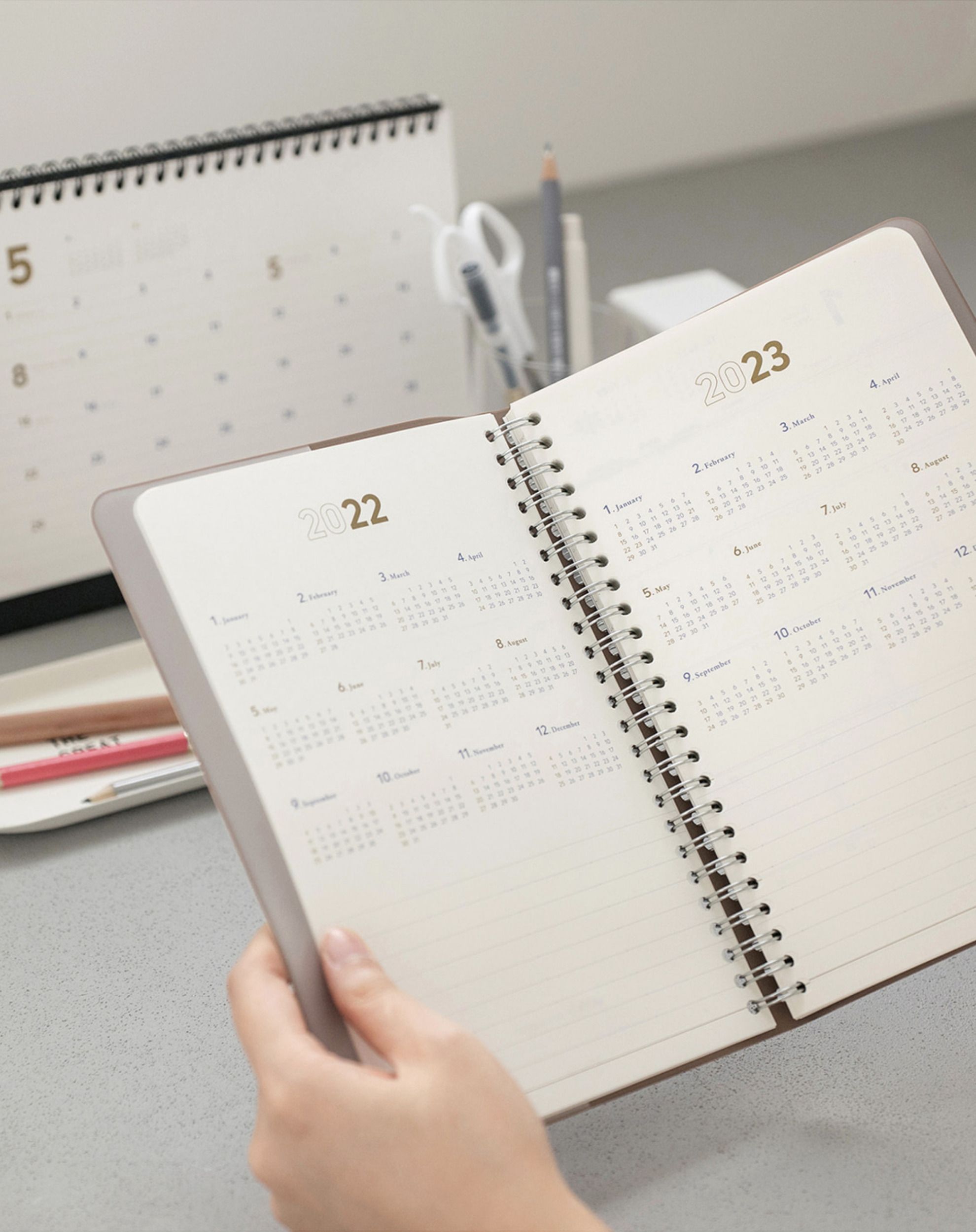 MochiThings: 2022 Plan & Monthly Spiral Journal