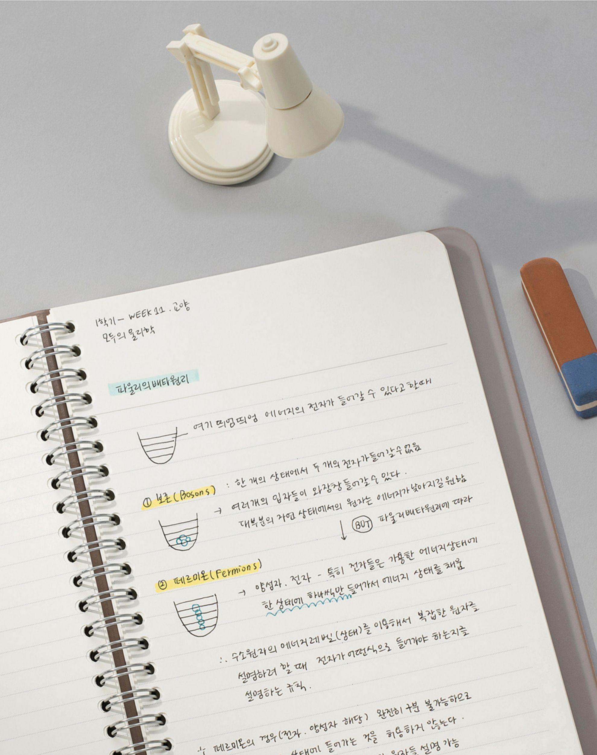 MochiThings: 2022 Plan & Monthly Spiral Journal