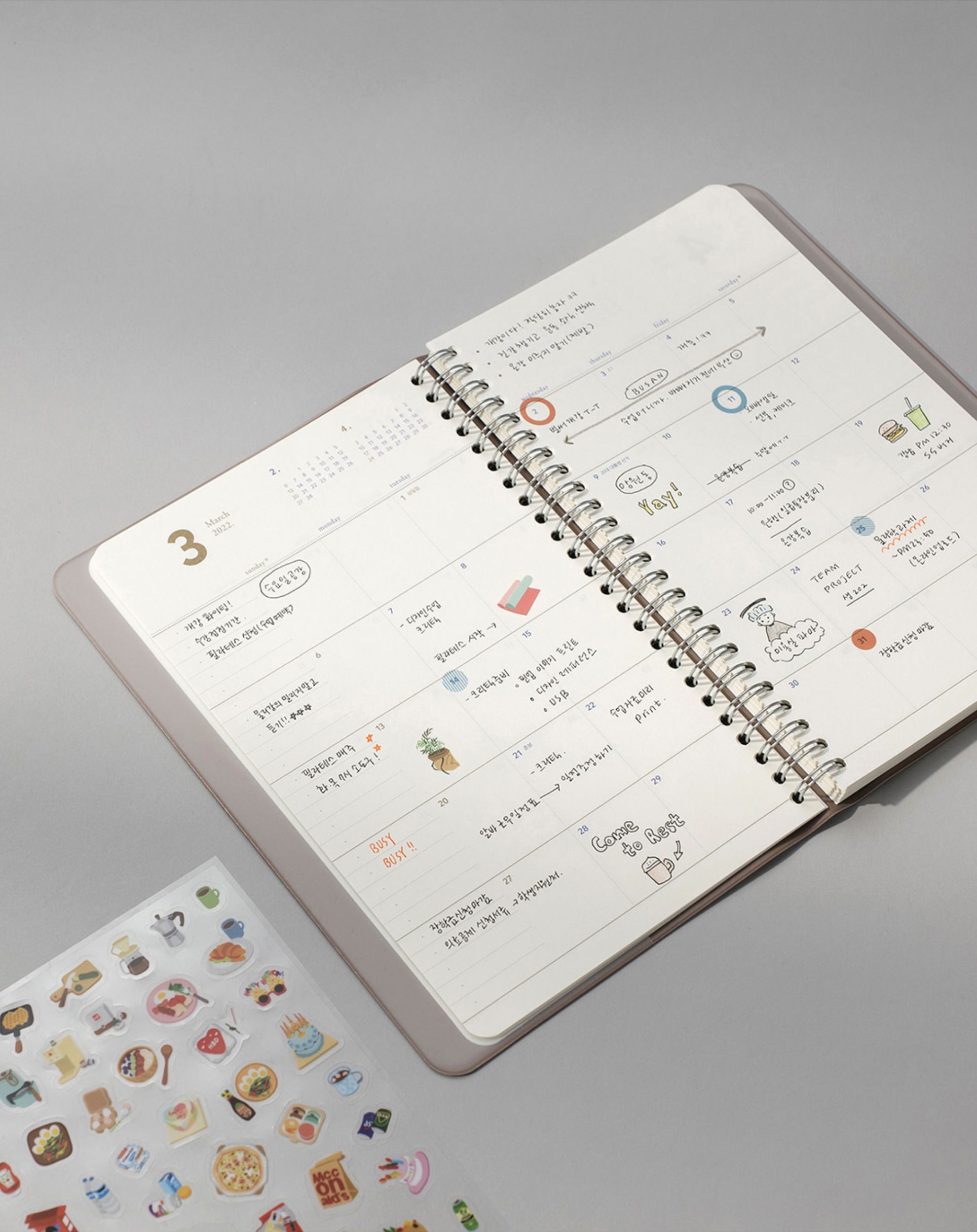 MochiThings: 2022 Plan & Monthly Spiral Journal