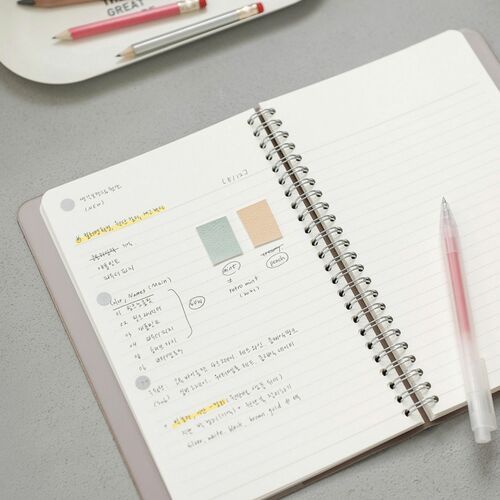 MochiThings: 2022 Plan & Monthly Spiral Journal