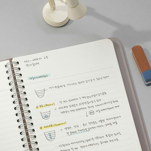 MochiThings: 2022 Plan & Monthly Spiral Journal