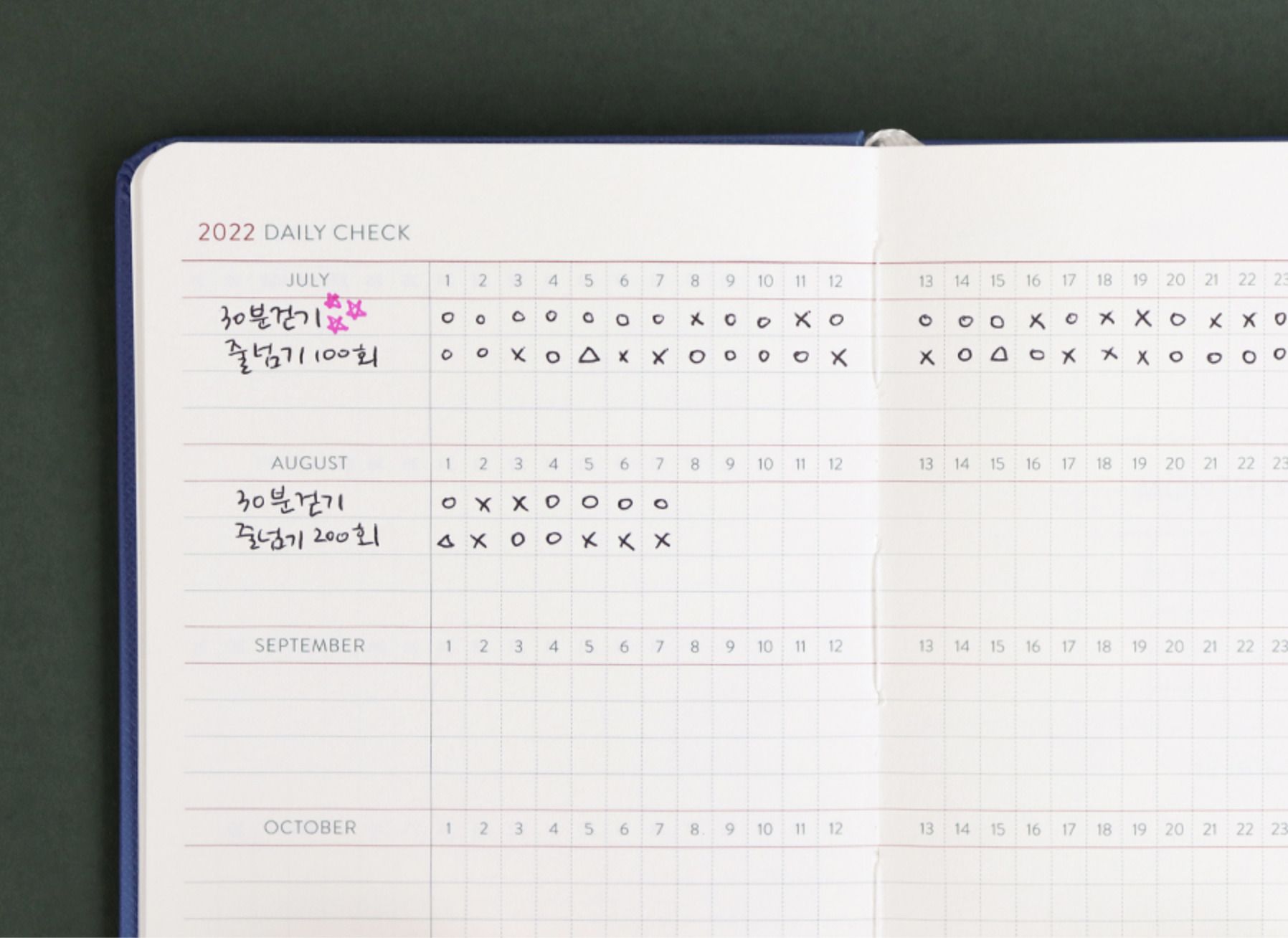 MochiThings: 2022 Prism Slim Monthly Planner