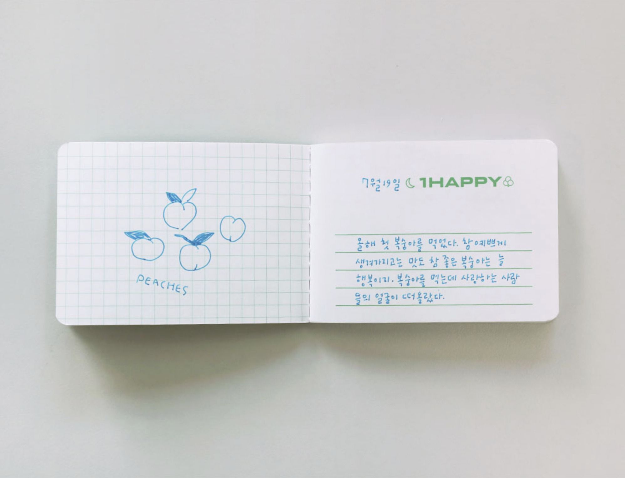 MochiThings: Mini 1 Day 1 Happy Notebook