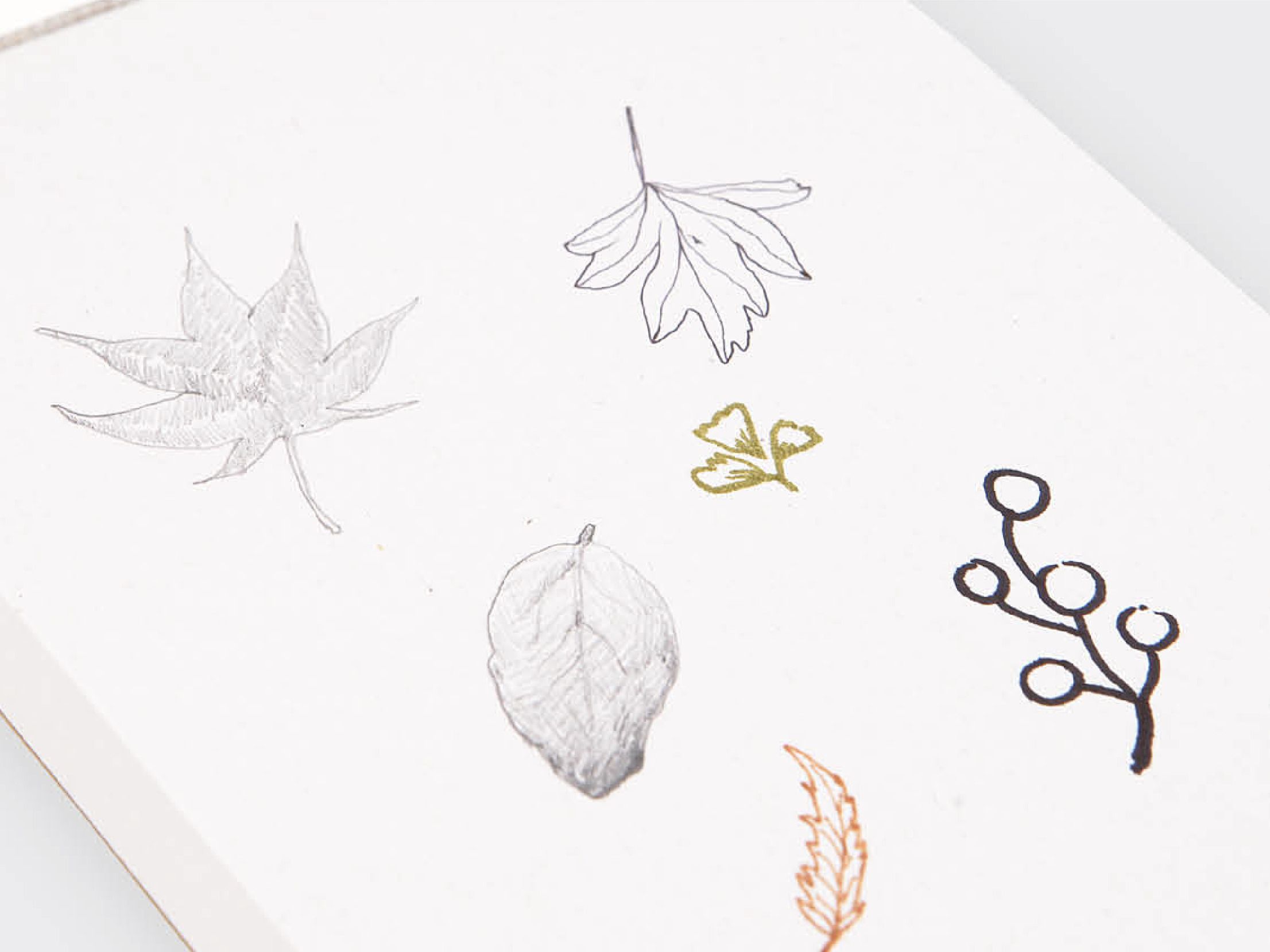 MochiThings: Large Elemental Drawing Book