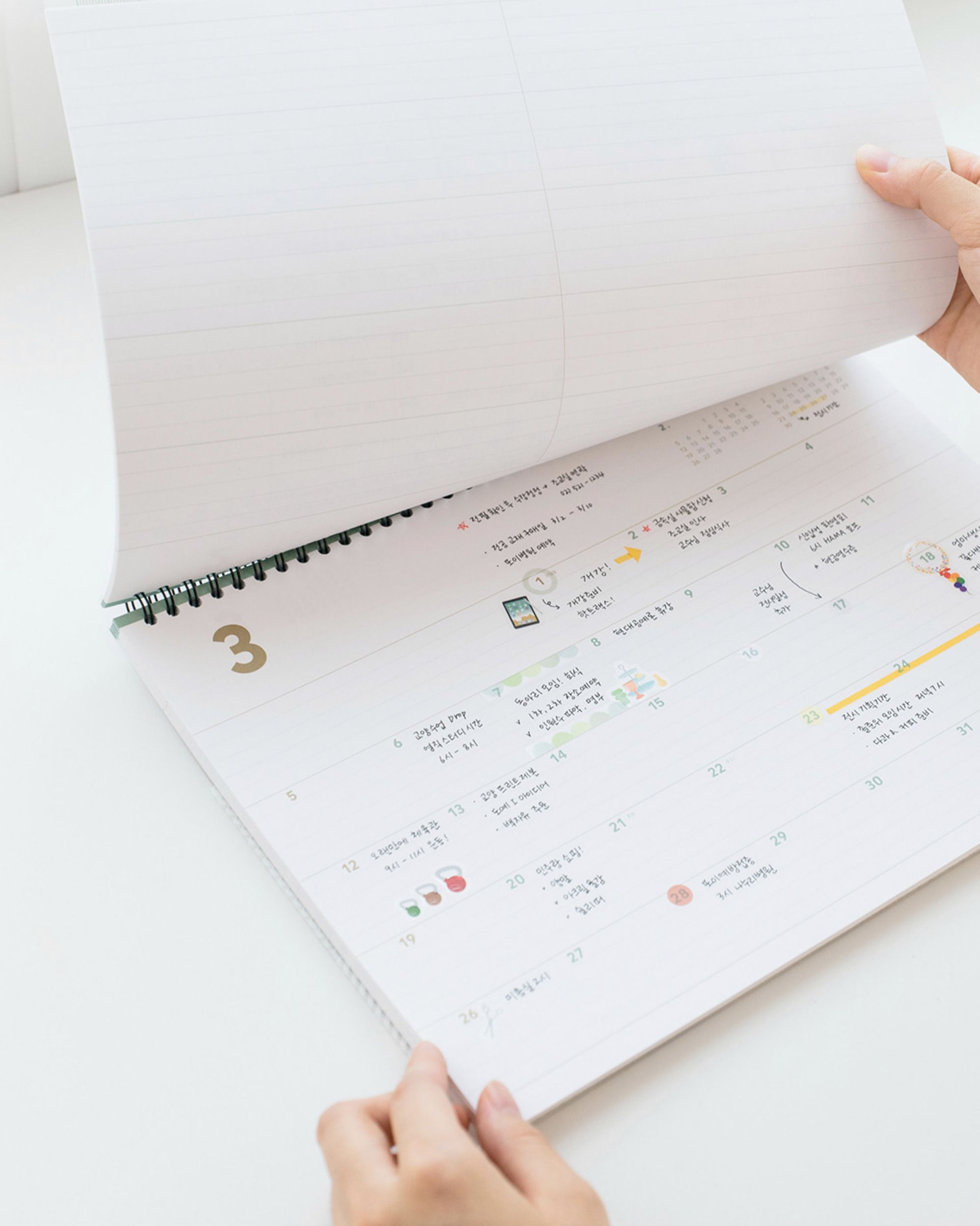 MochiThings: 2023 Wide Basic Desk Monthly Planner