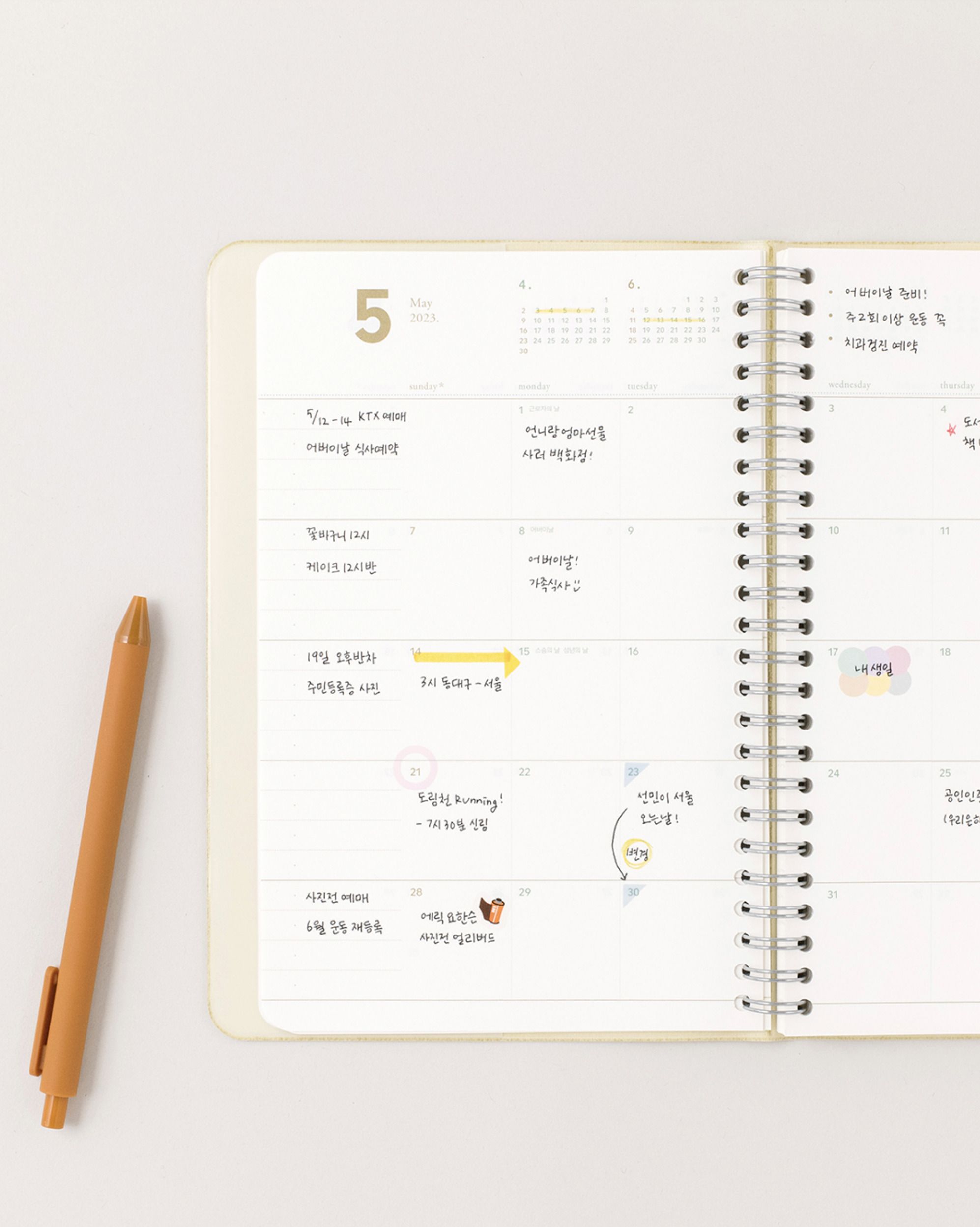 MochiThings: 2023 Plan & Monthly Spiral Journal
