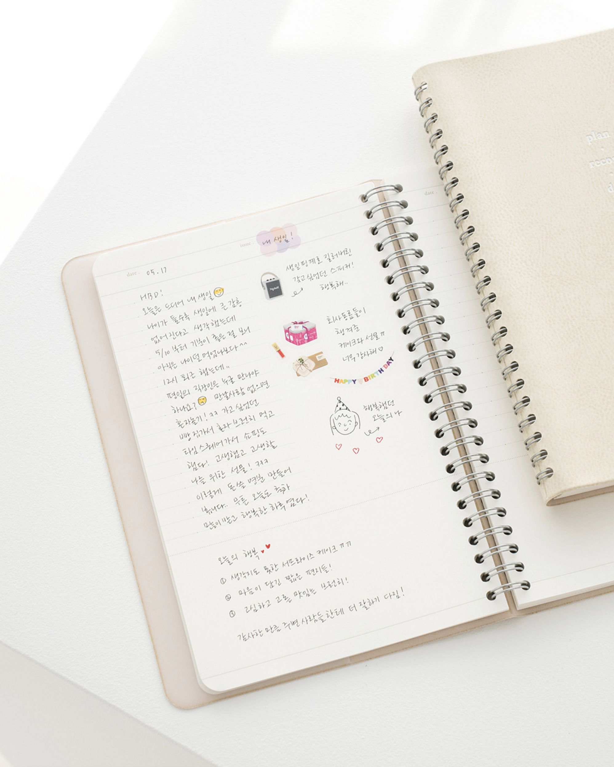 MochiThings: Small 6 Month Daily Manager Planner v4
