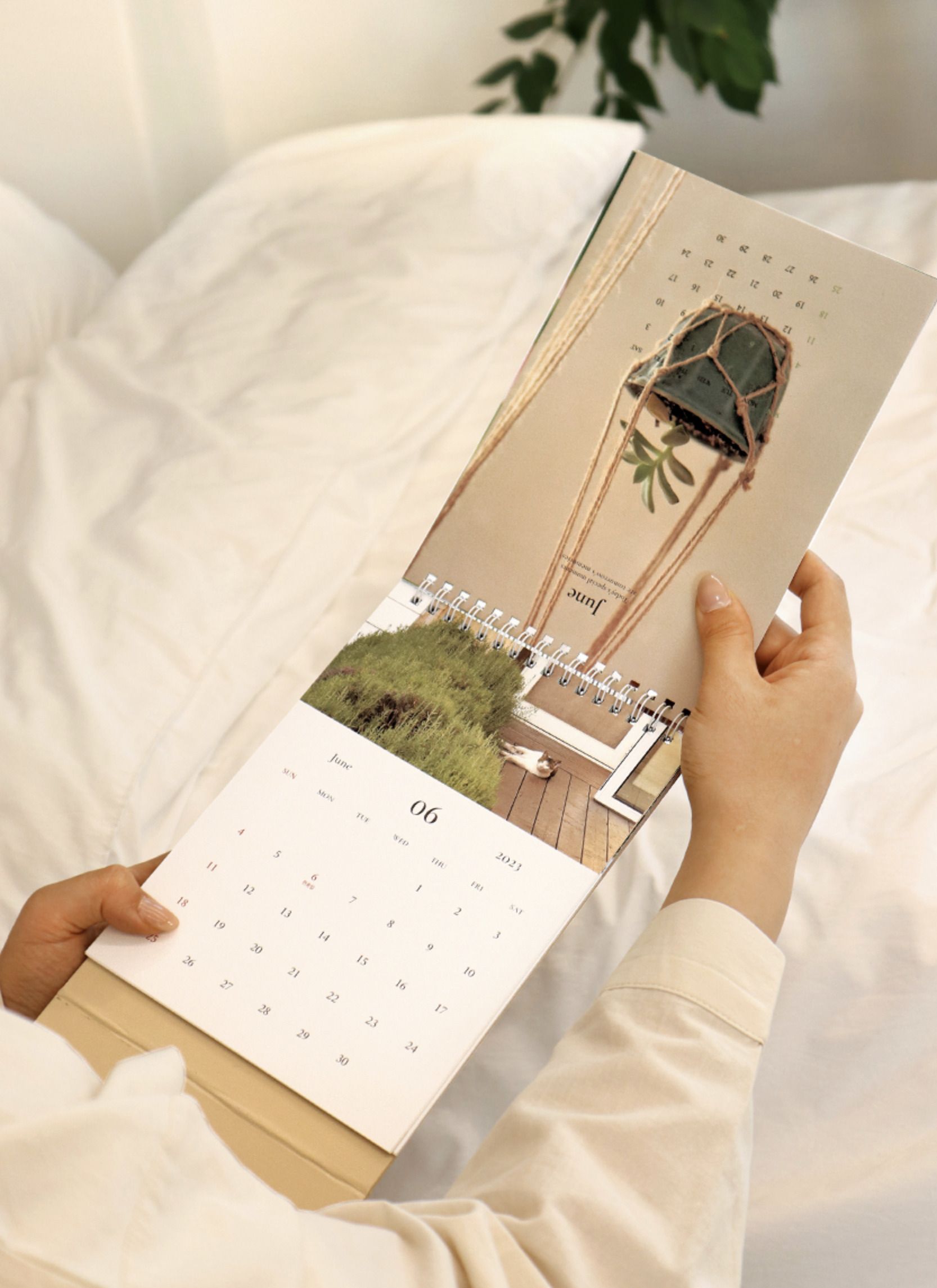 MochiThings: 2023 Mind Snap Desk Calendar