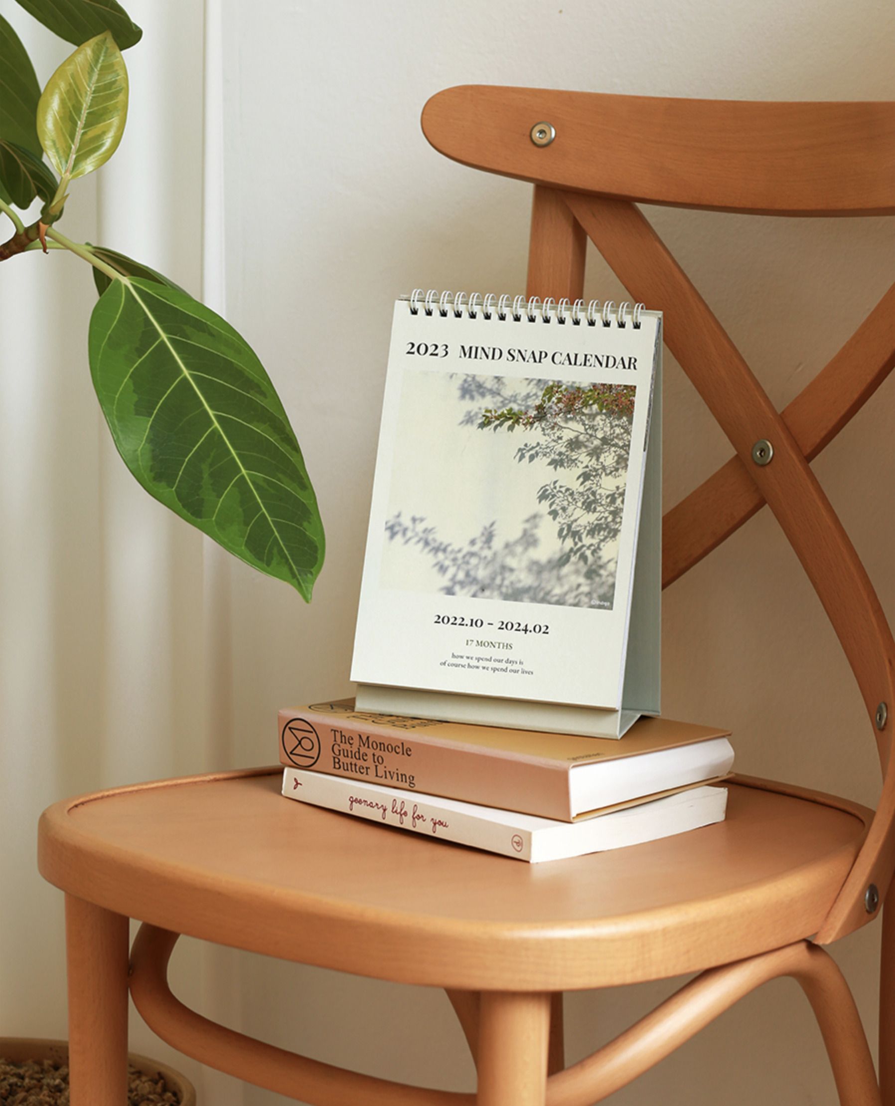 MochiThings: 2023 Mind Snap Desk Calendar