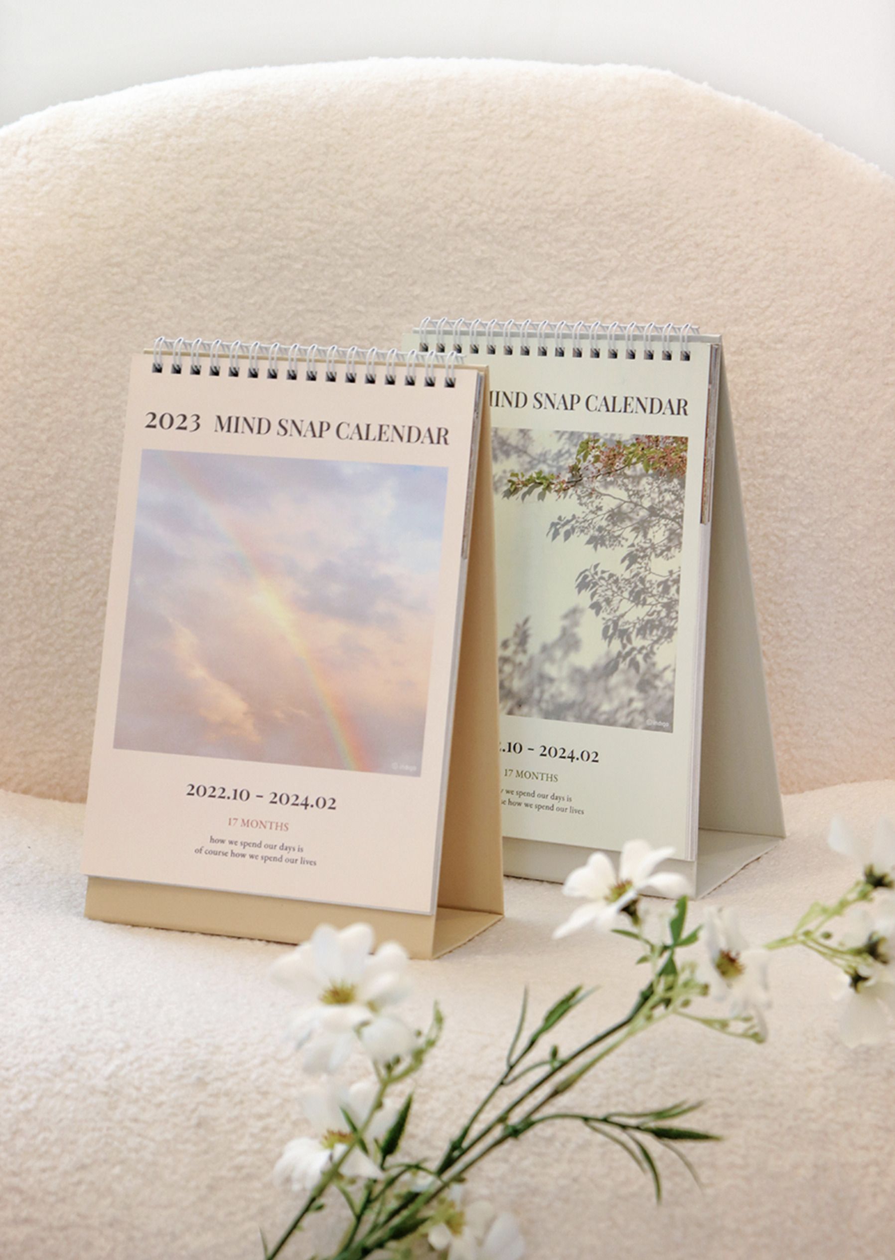 MochiThings: 2023 Mind Snap Desk Calendar