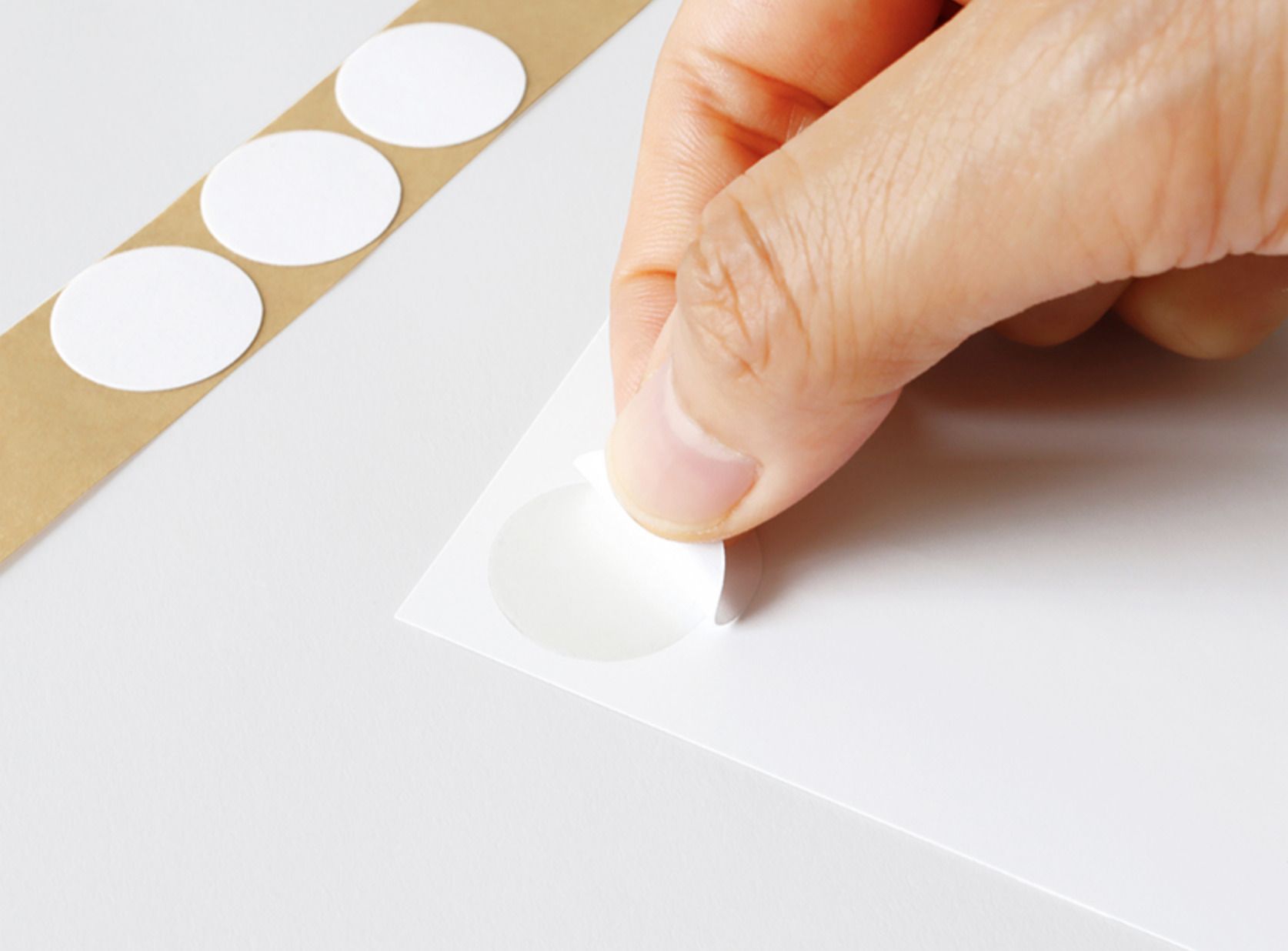 MochiThings: Large Bookshelf Poster & Sticker Set