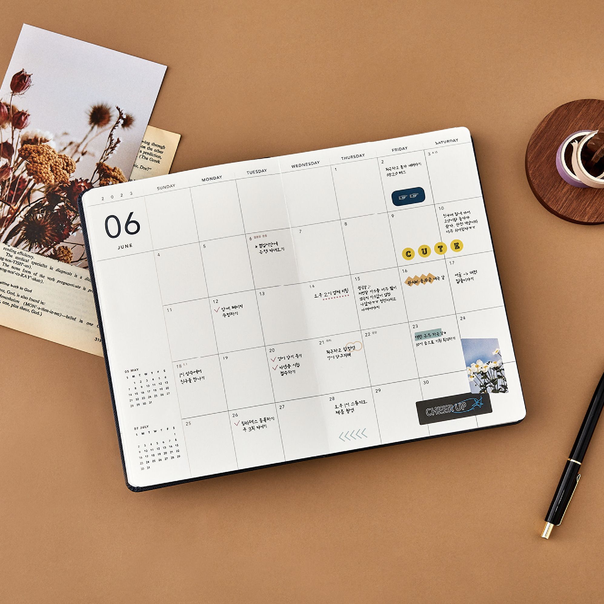 MochiThings: 2023 Medium Daily Journal