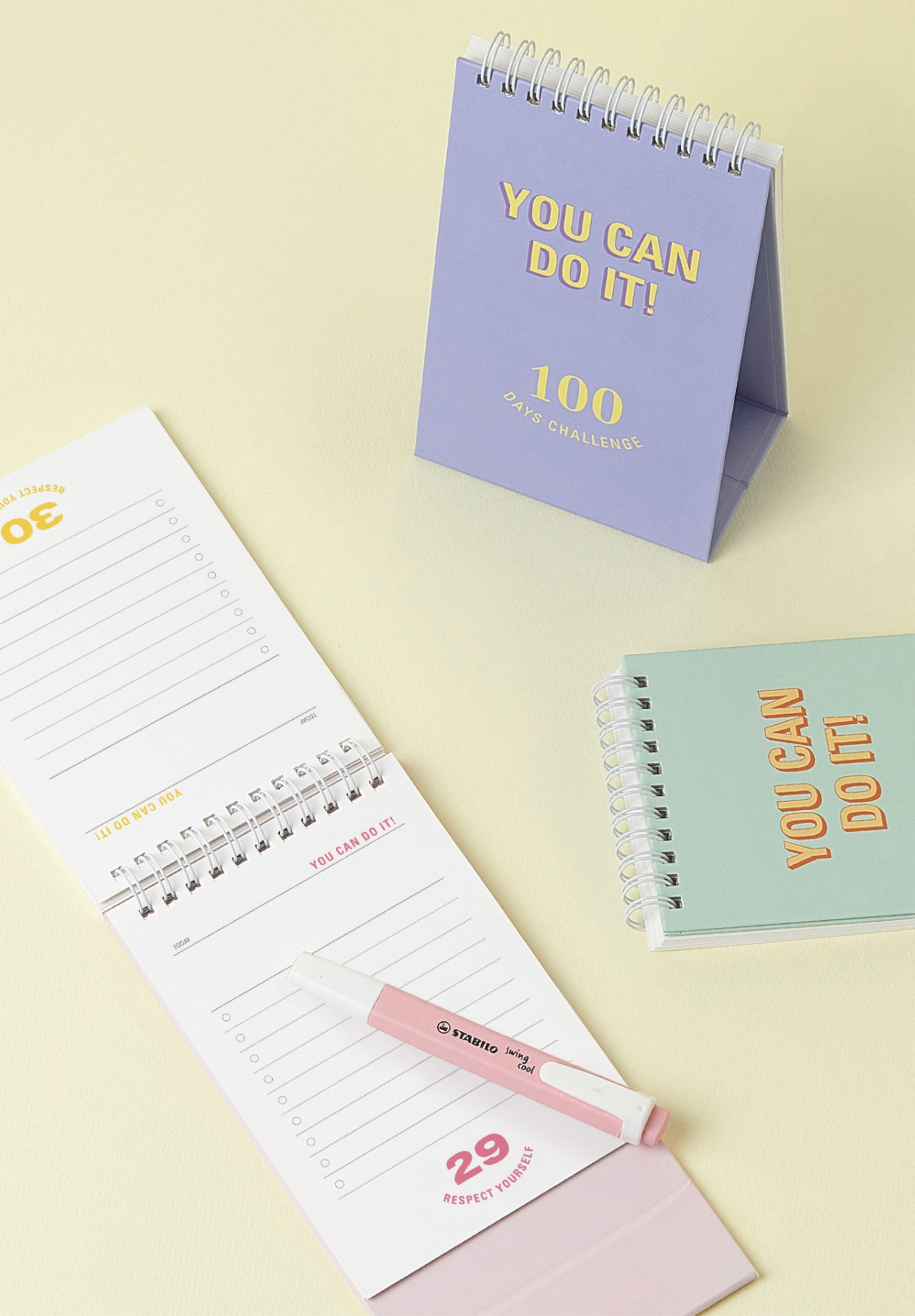 MochiThings: 100 Days Challenge Desk Planner