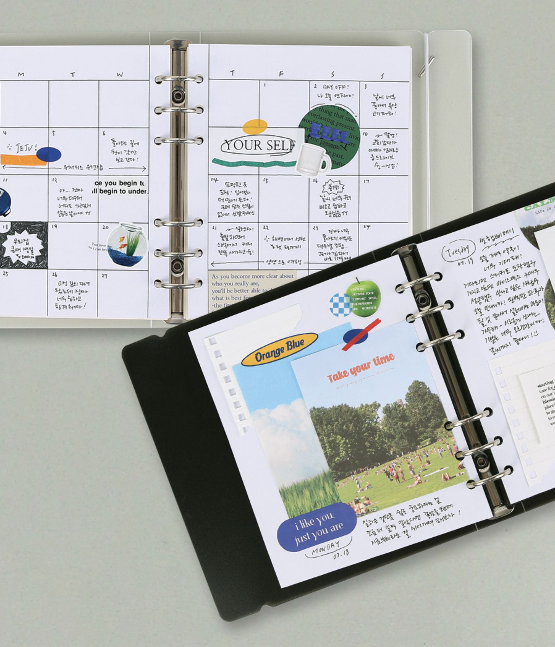 MochiThings: Colorful 6 Ring A6 Wide Binder