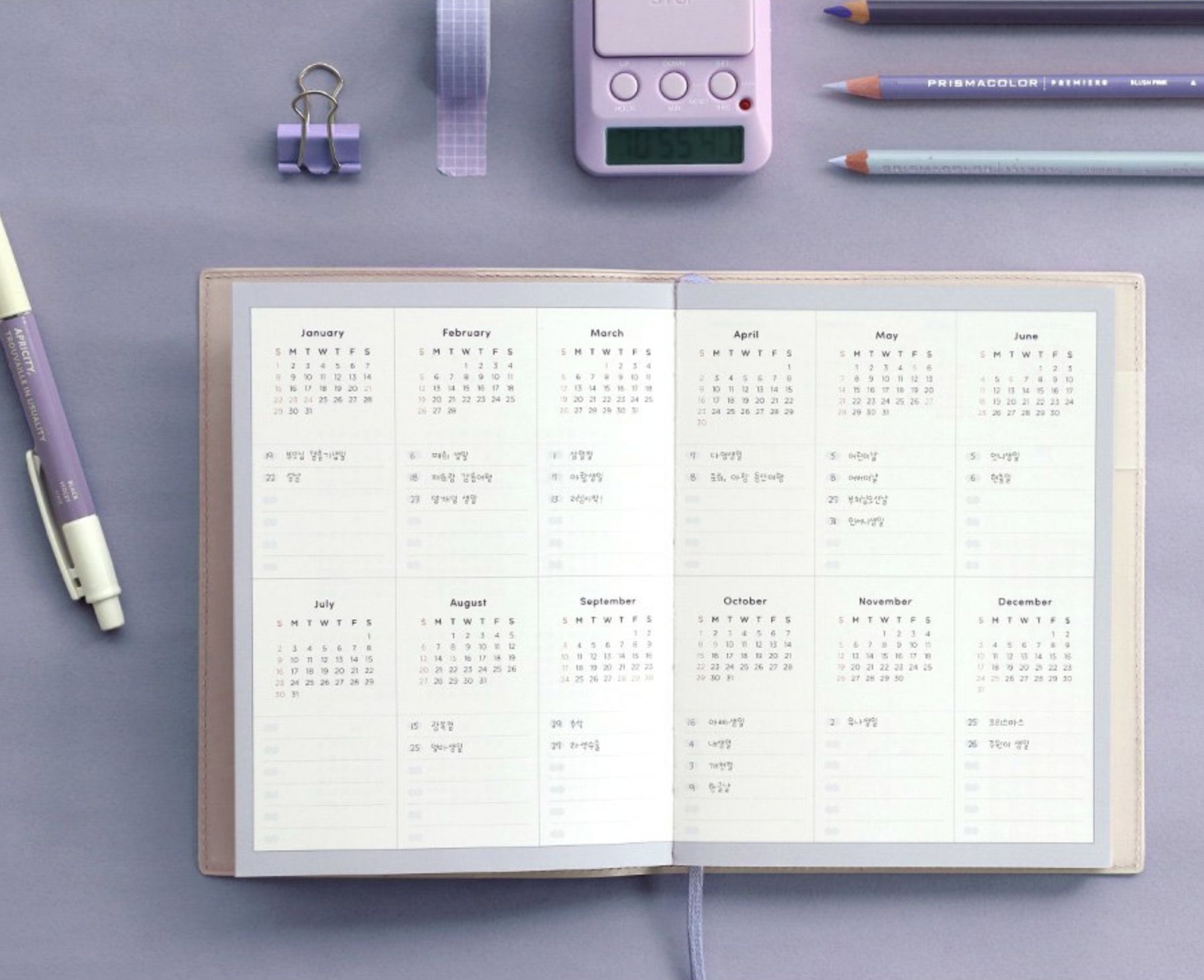 MochiThings: 2023 Bubbly Diary Planner