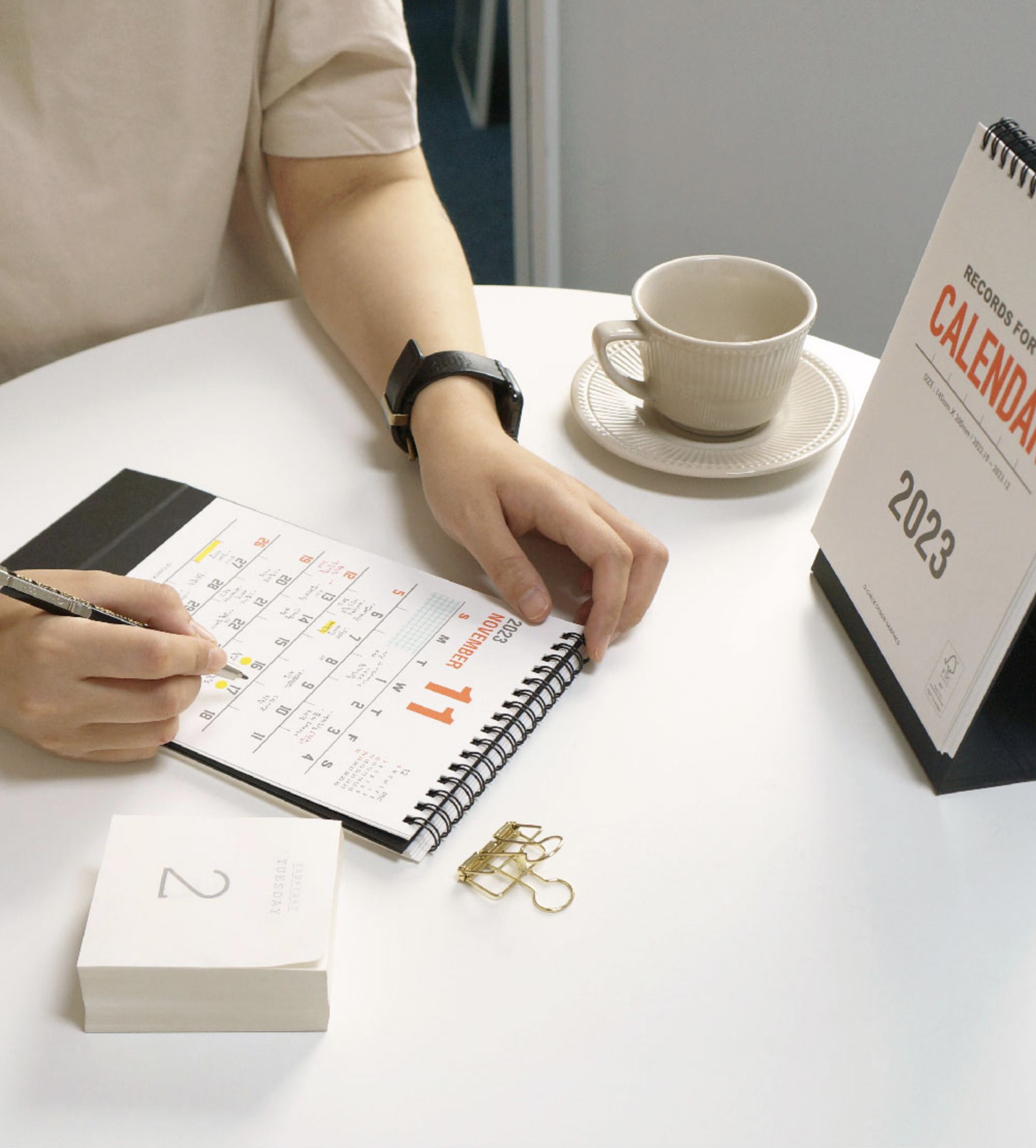 MochiThings: 2023 Mini Records For Life Desk Calendar