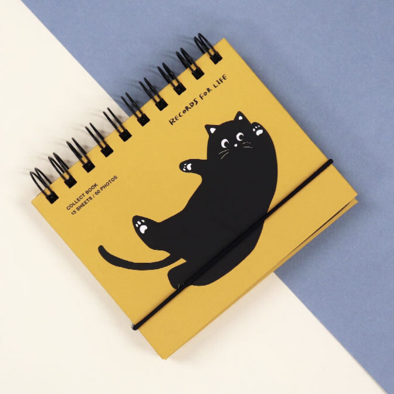 MochiThings: Records For Life Instax Mini Standing Album