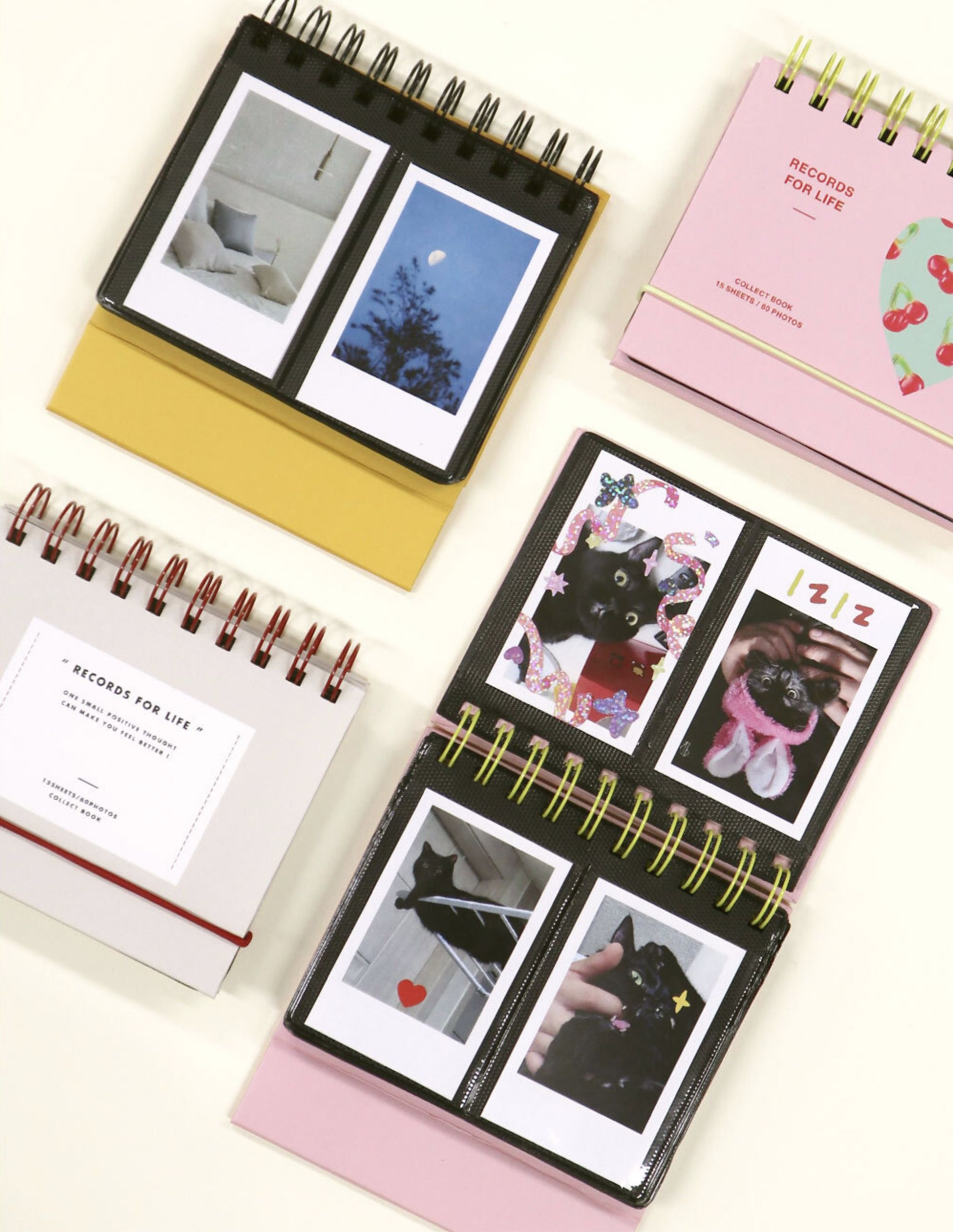 MochiThings: Records For Life Instax Mini Standing Album