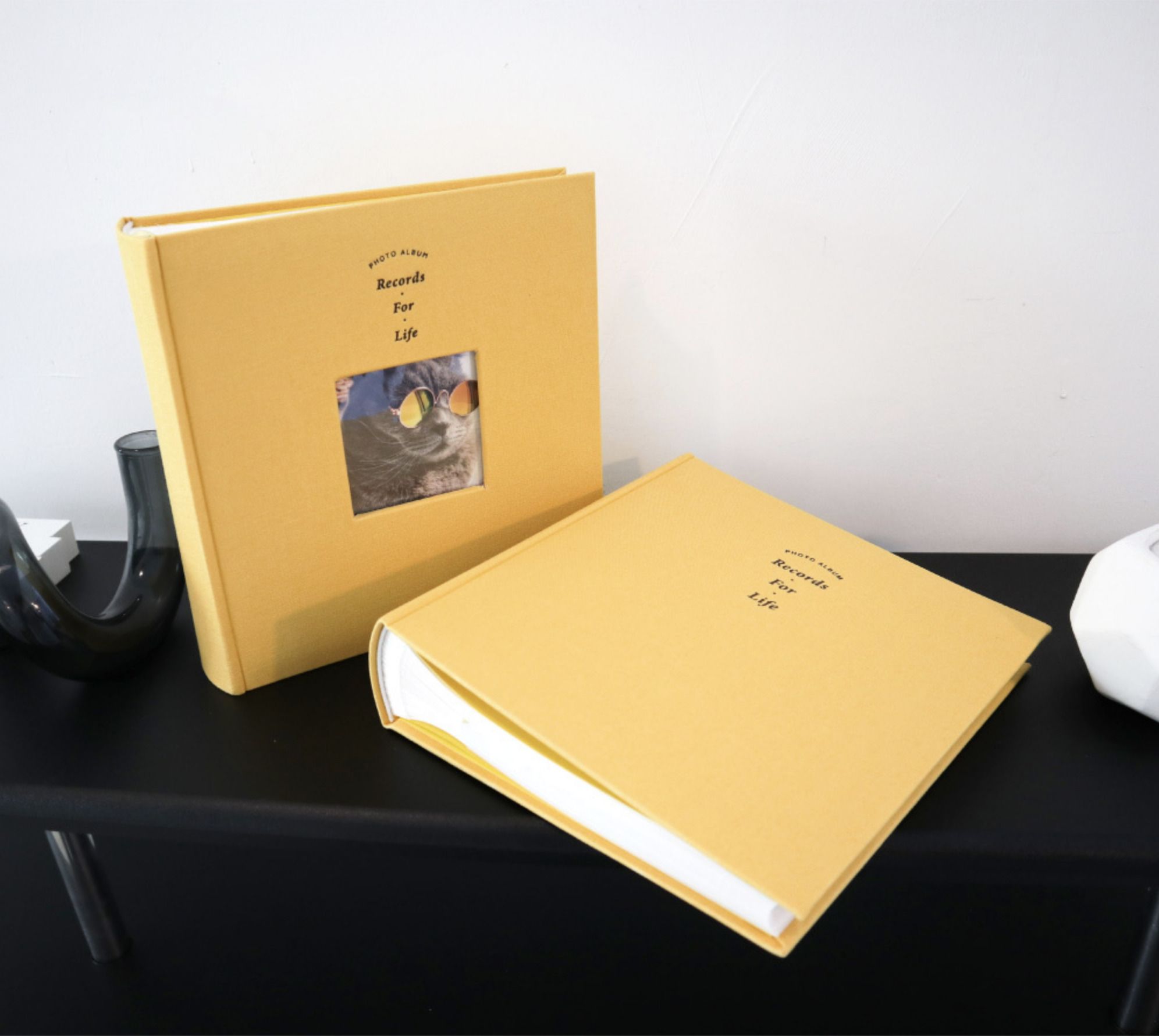 MochiThings: Medium Records For Life 4x6 Photo Album