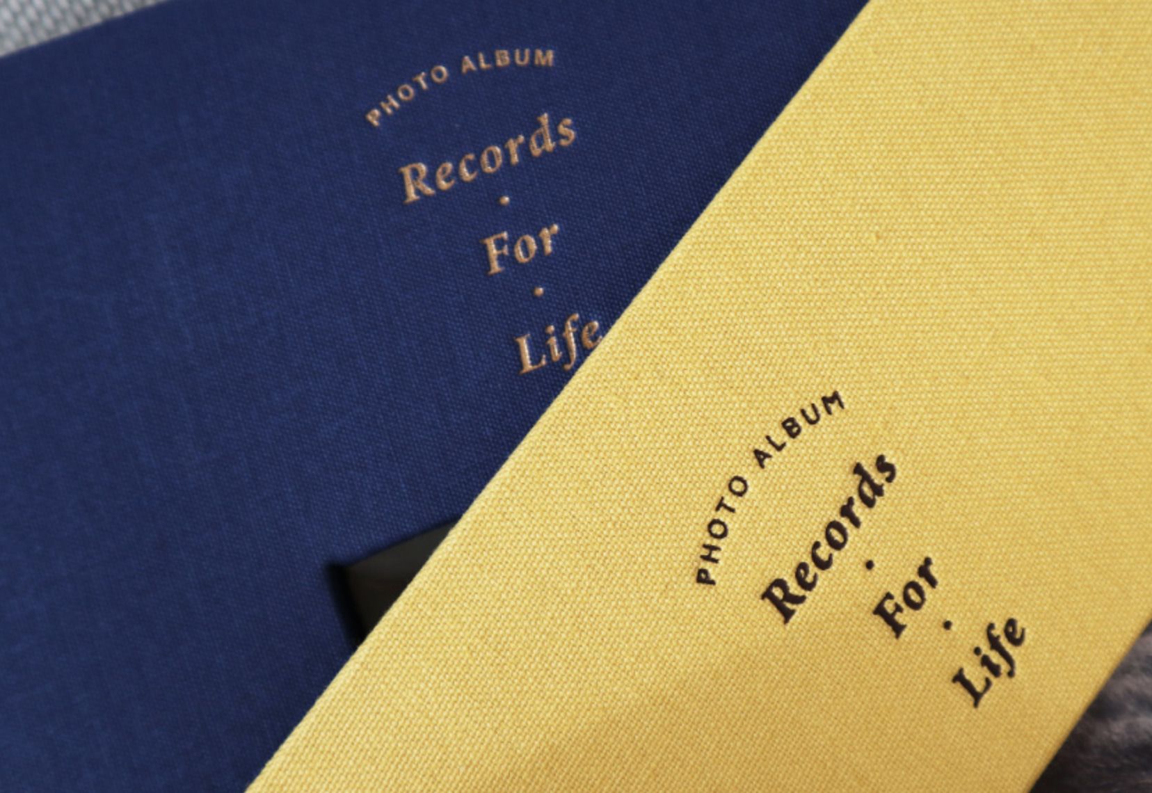 MochiThings: Medium Records For Life 4x6 Photo Album