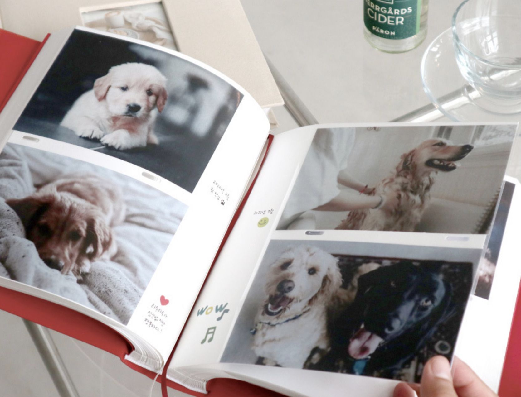 MochiThings: Medium Records For Life 4x6 Photo Album