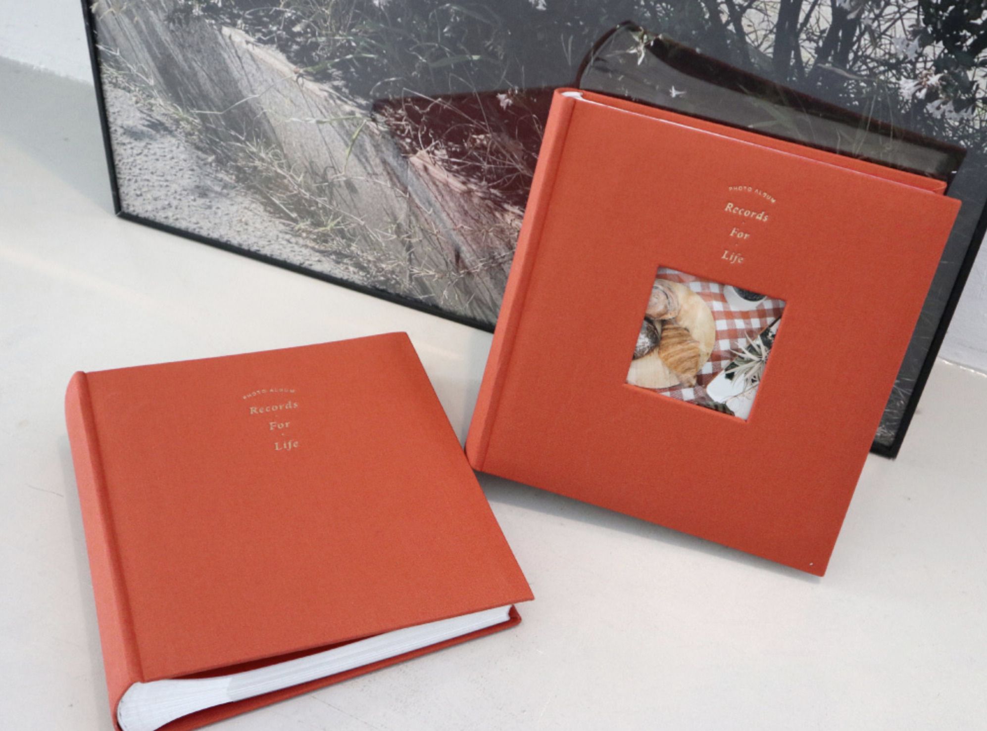 MochiThings: Medium Pocket Records For Life 4x6 Photo Album