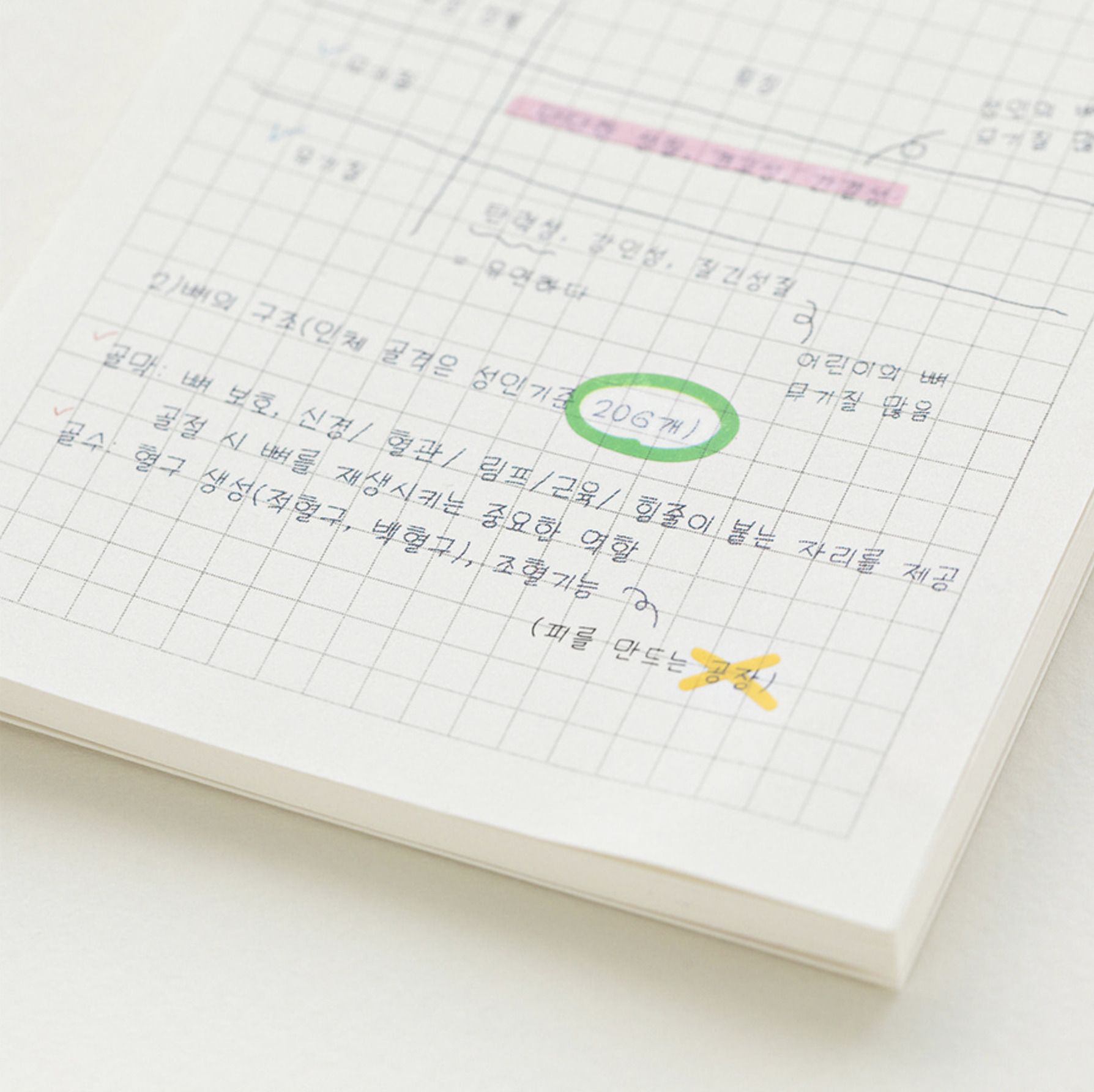 MochiThings: Mini Cat Notepad