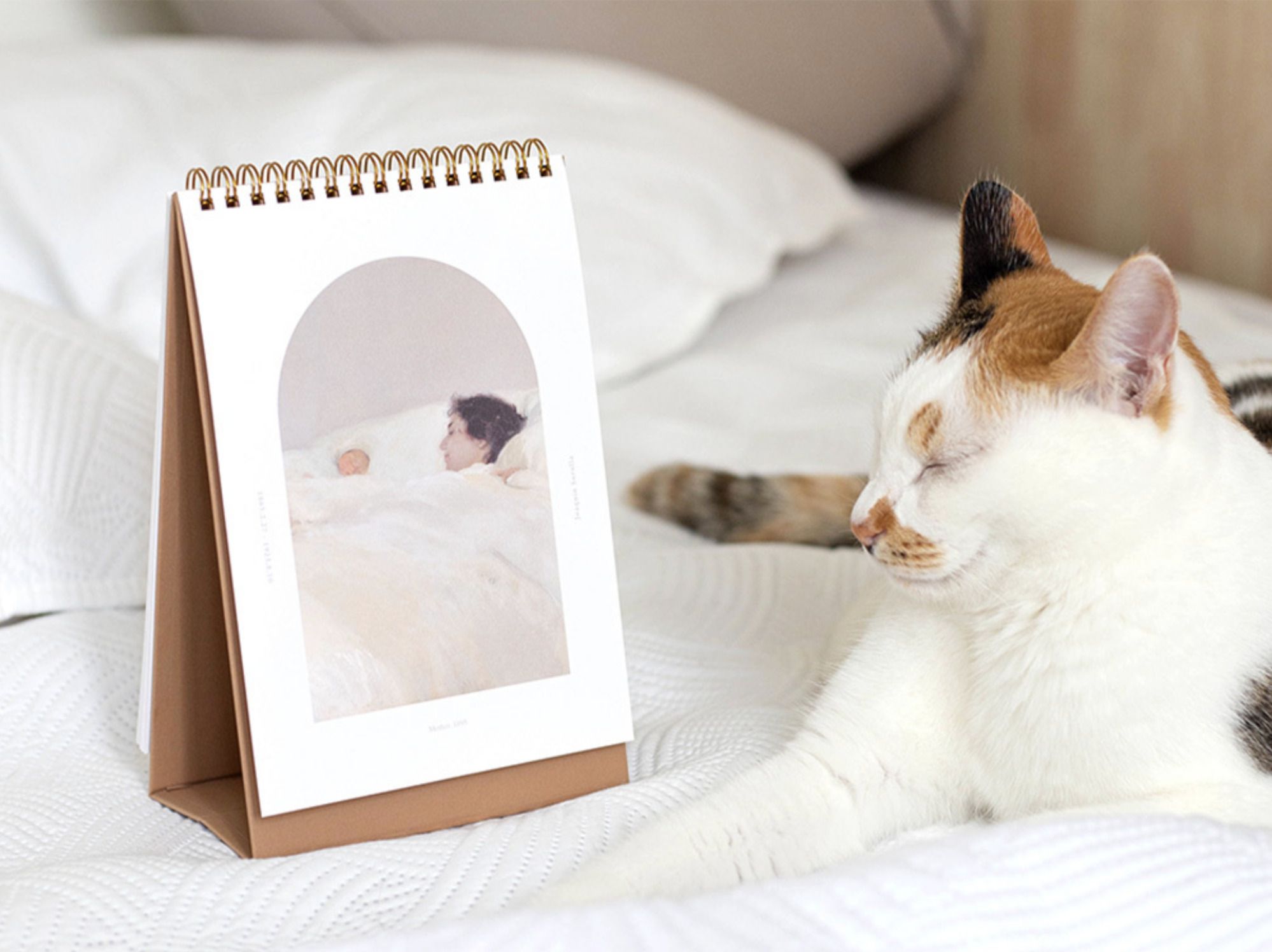 MochiThings: Masterpiece Desk Standing Poster