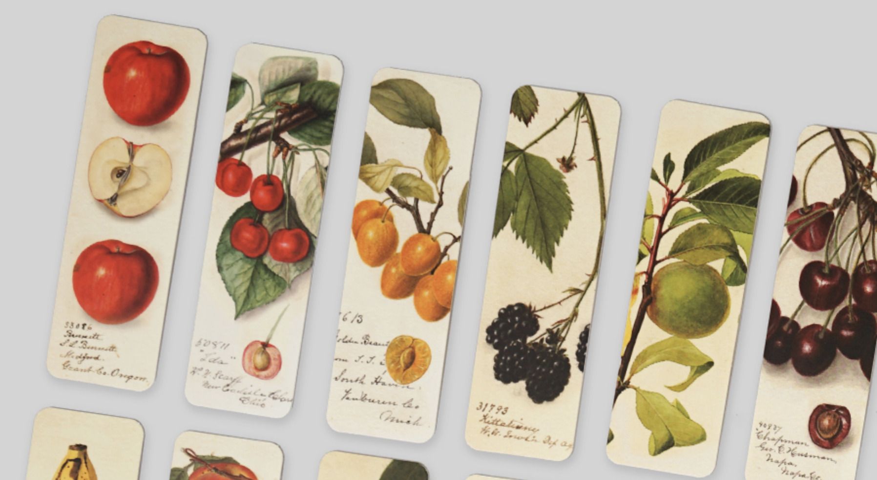 MochiThings: 28pcs Fruit Bookmark Set