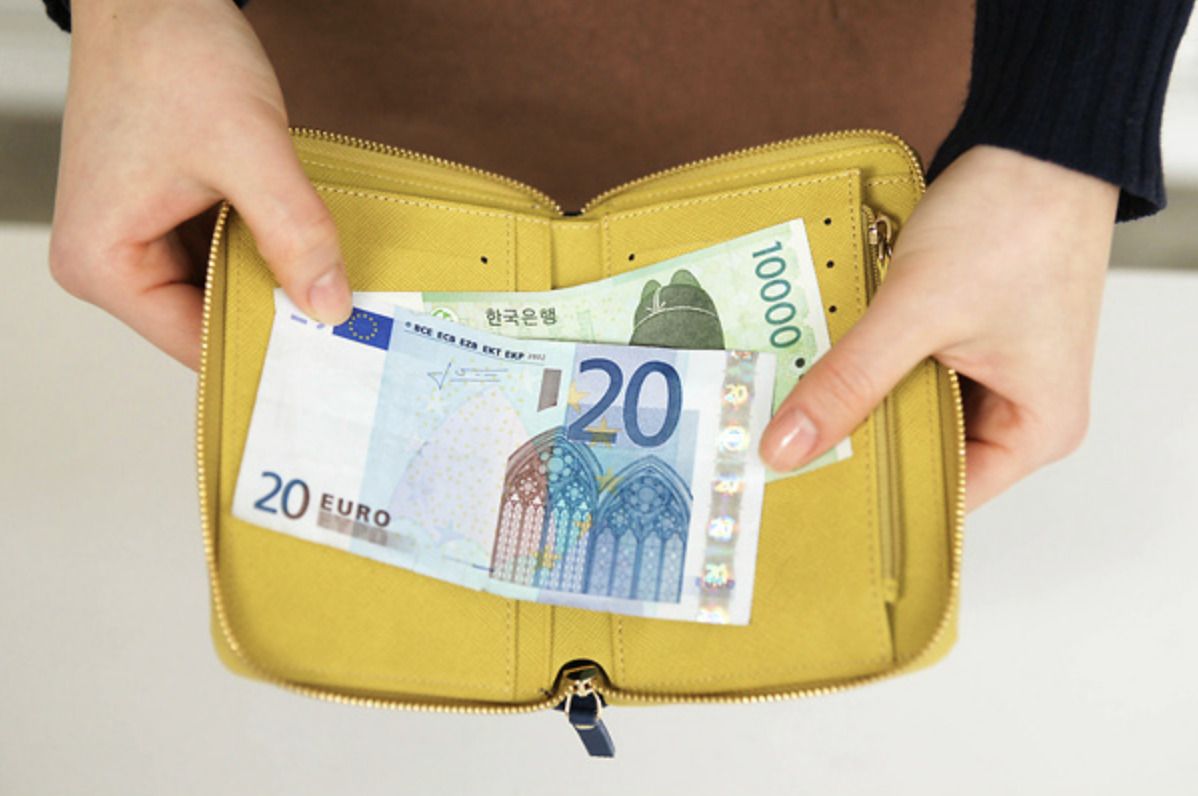 MochiThings: Medium Fasnacht Zipper Wallet