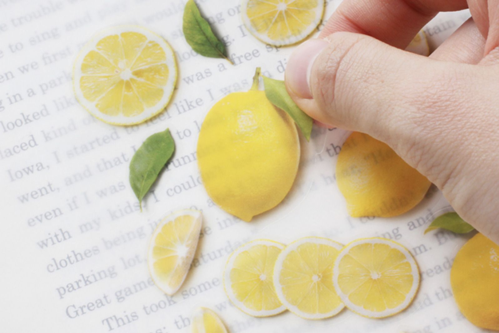 MochiThings: Lemon Pressed Fruit Sticker