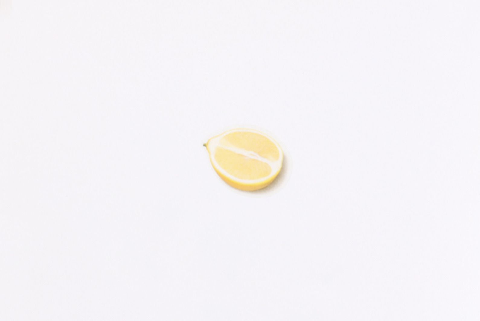 MochiThings: Lemon Pressed Fruit Sticker